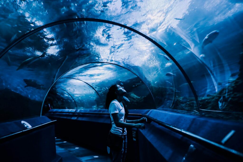 Smart Water Tech Insights • Waterwise Innovations